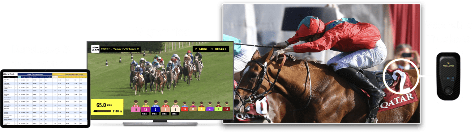 Horse racing | Professional GPS Tracking solutions for performance and ...